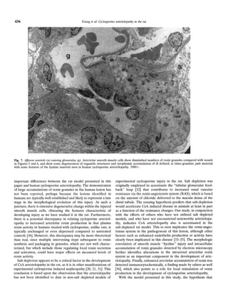 Cyclosporine A Induced Arteriolopathy in a Rat Model of Chronic ...