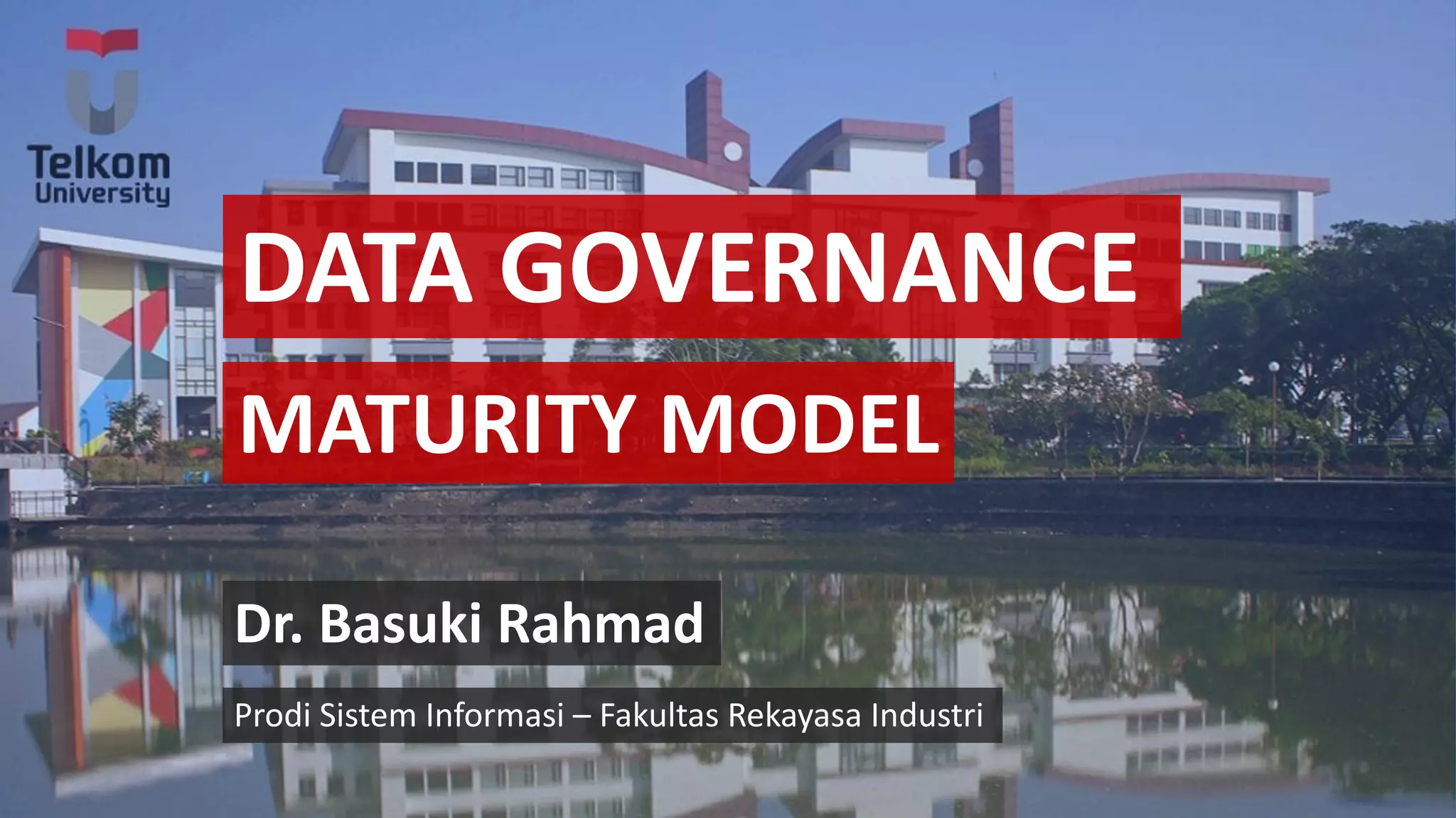 Data Governance Maturity Model Pdf