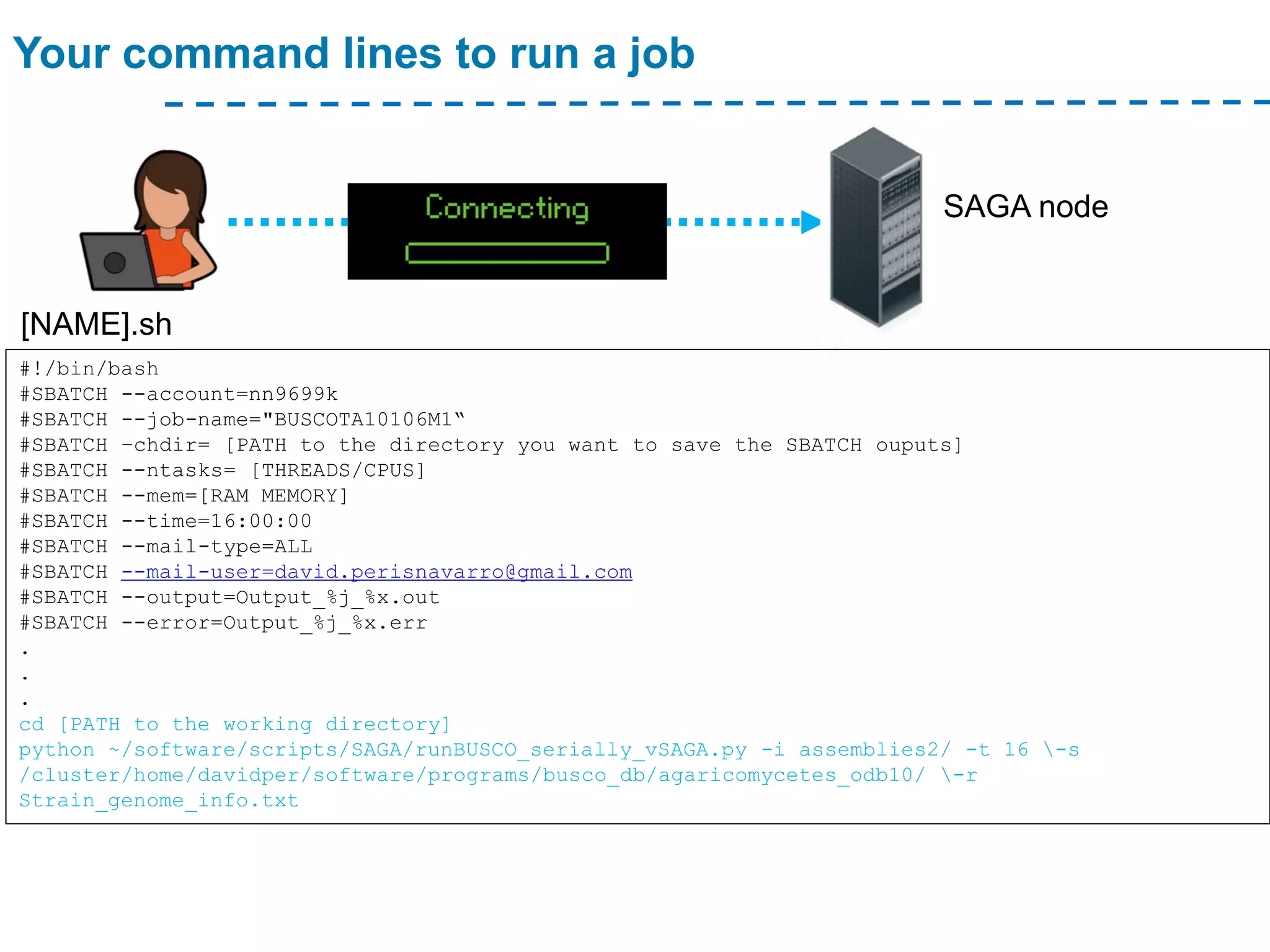 Introduction to SAGA HighPerformance Computing | PDF