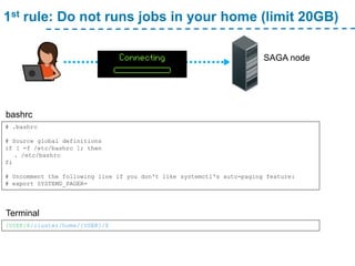 Introduction to SAGA HighPerformance Computing | PDF