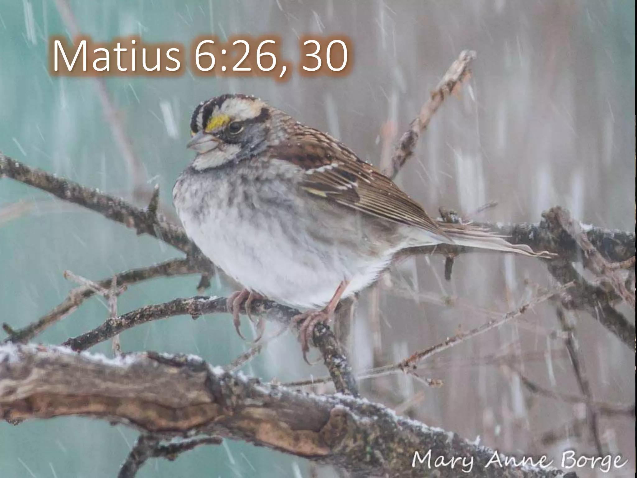 2020 03 06 yesus meredakan angin ribut | PPTX