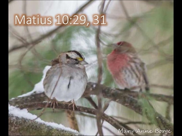 2020 03 06 yesus meredakan angin ribut | PPTX