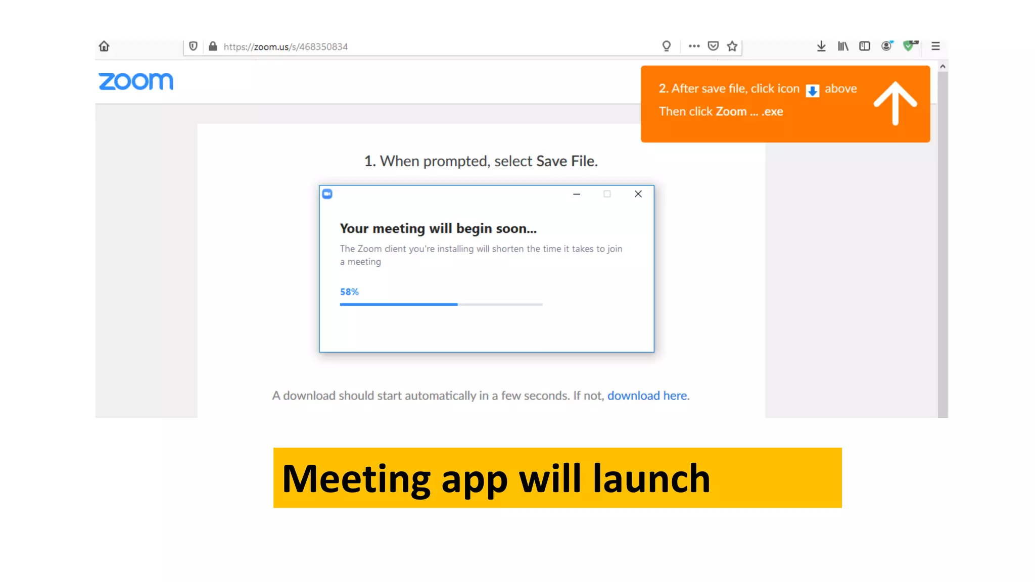 Conducting an Online Class using ZOOM | PDF