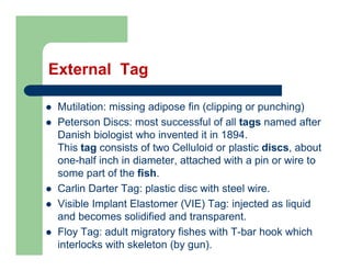 202003251324429668shelly_Fish_Mition.pdf