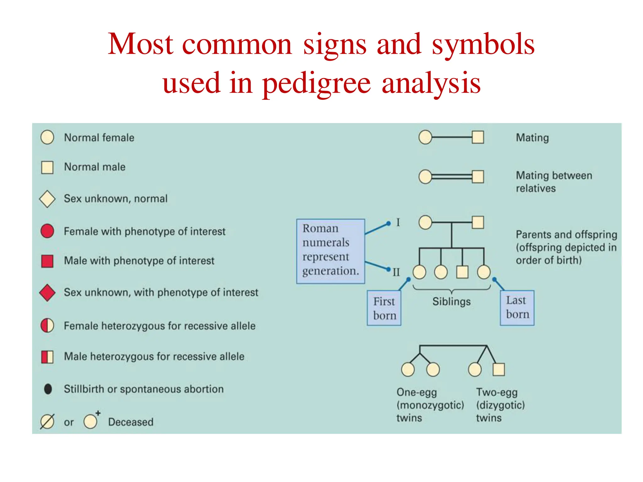 Pedigree_analysis.pdf
