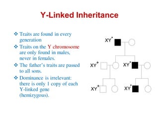 Pedigree_analysis.pdf
