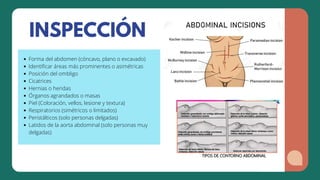 Examen Físico gastrointestinal | PDF