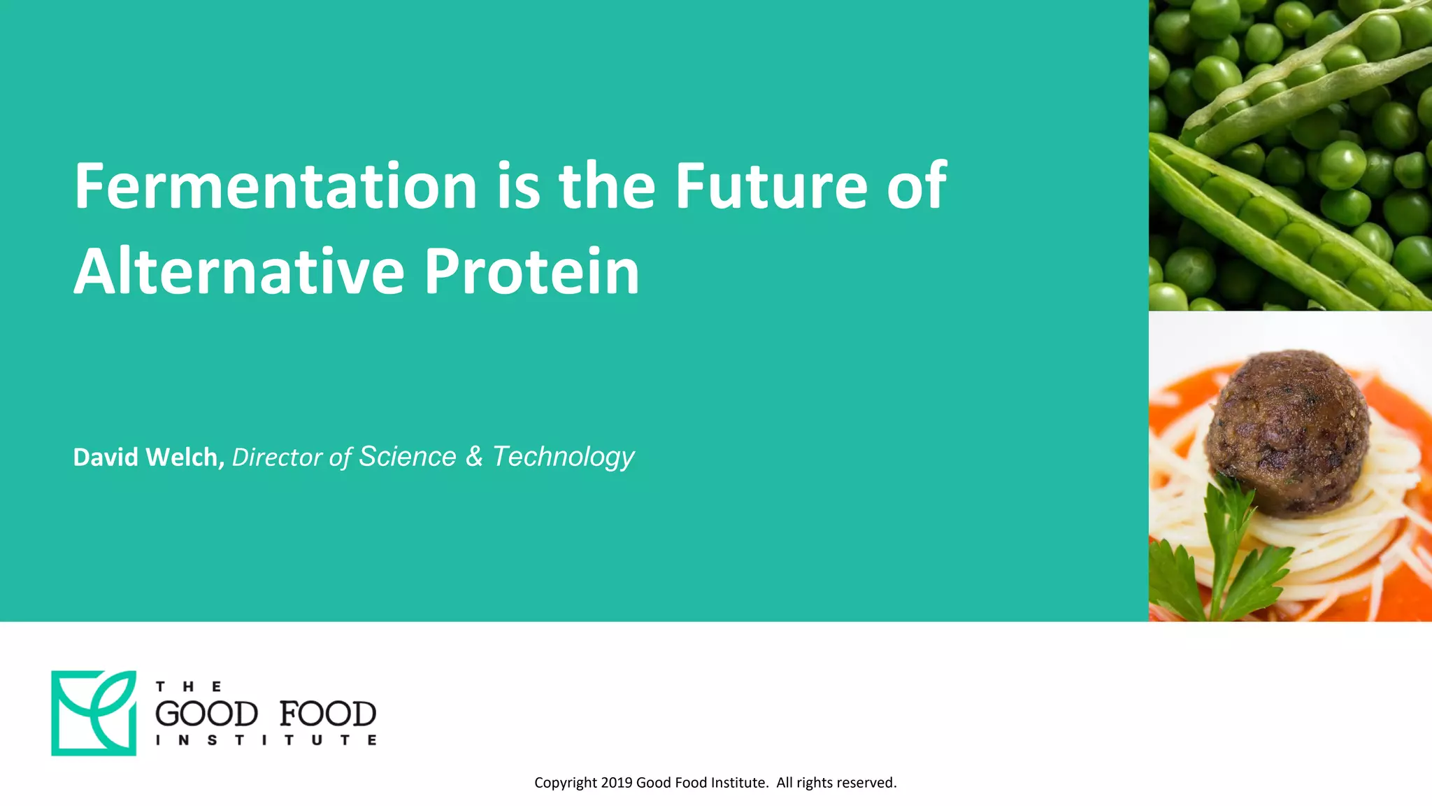 Fermentation is the future of alternative protein | PDF
