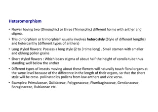 Pollination, types, adaptations for self and cross .pdf