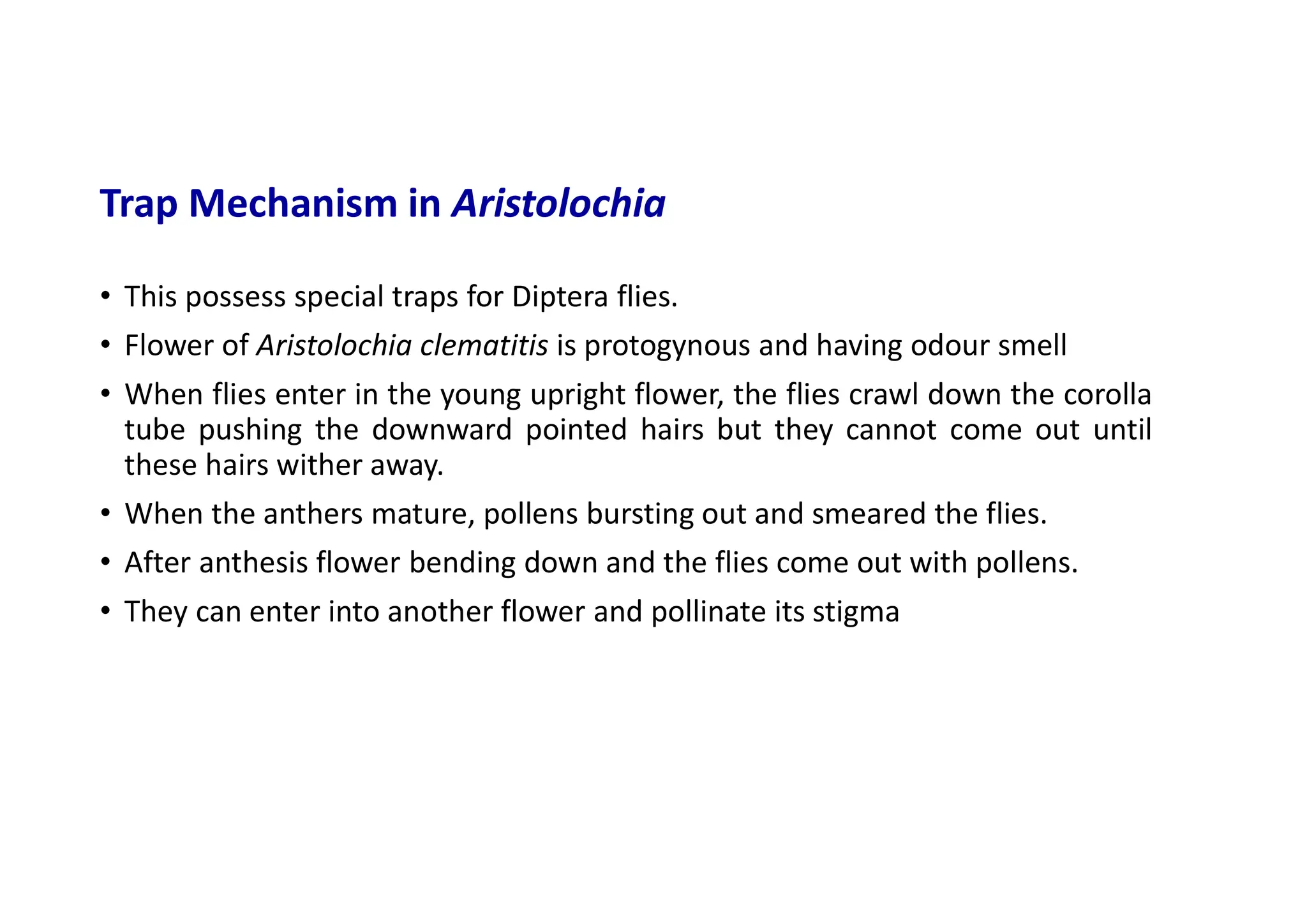 Agents,types,mechanism for pollination.pdf