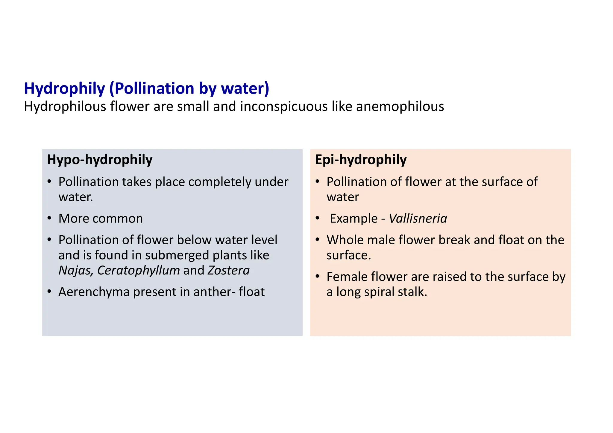 Agents,types,mechanism for pollination.pdf
