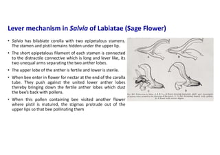 Agents,types,mechanism for pollination.pdf