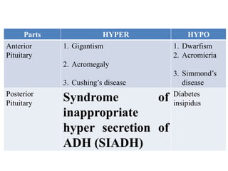 20200407010138ad39e49584.pdf