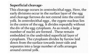 202004080636590834shailie_Cleavage_types_and_patterns.pdf