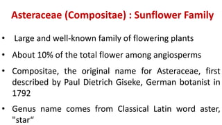 20200417104346d189d6e494.pdf | Gardening | Home & Garden