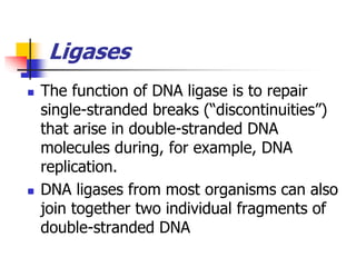 Enzymes in Genetic Engineering Mahatma Gandhi Central University ...