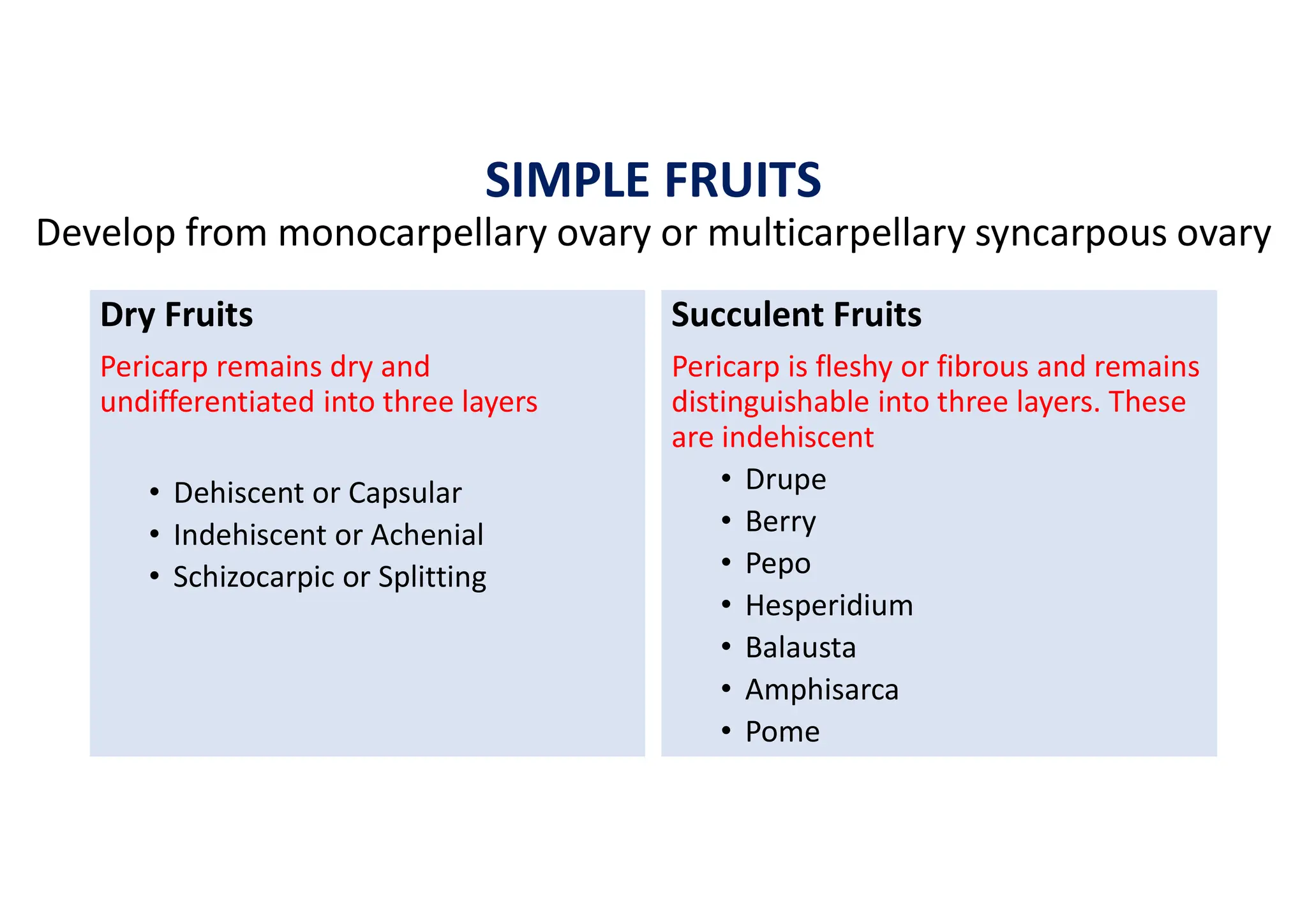 types of fruit and its classifications without diagrams | PPT