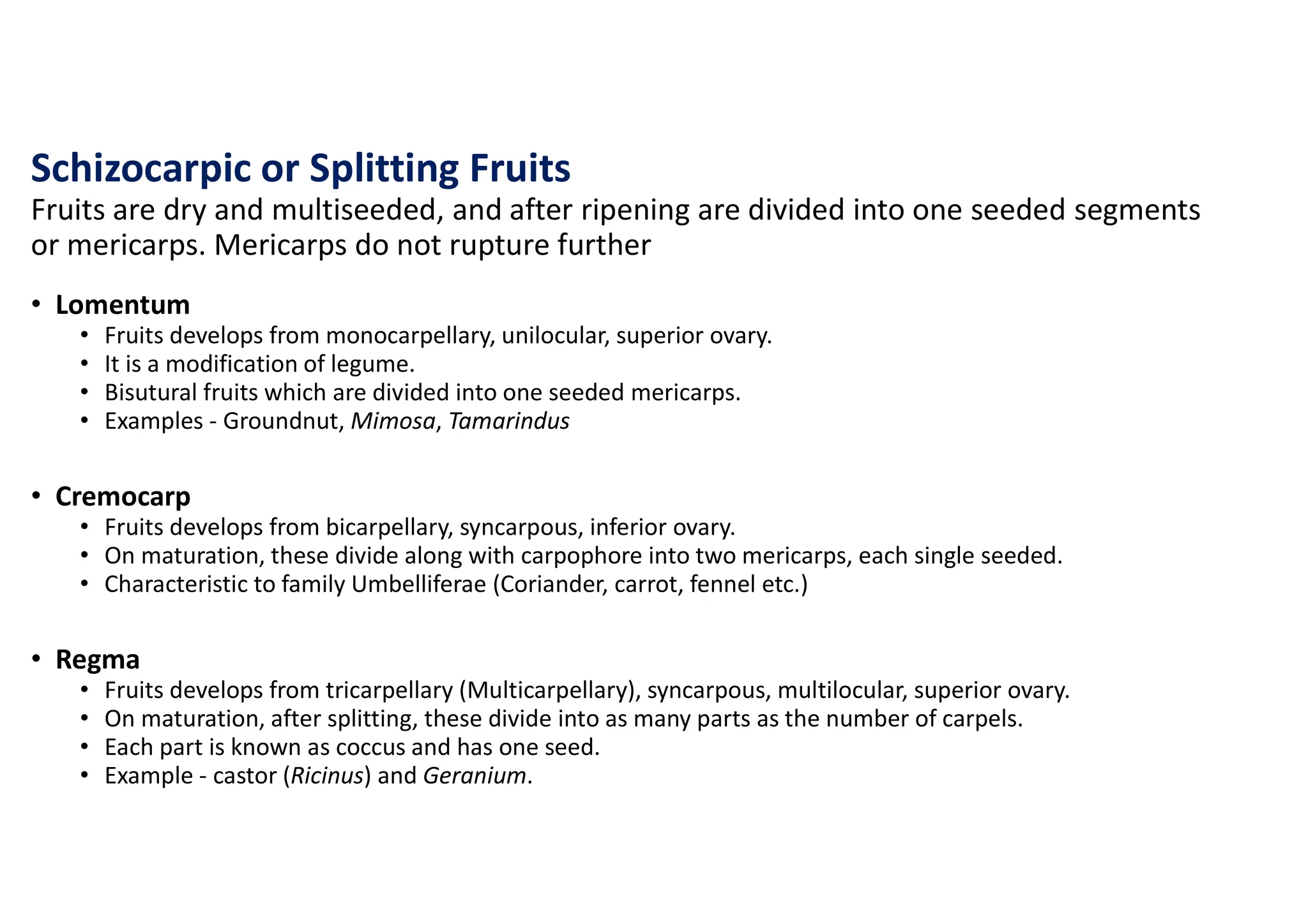 types of fruit and its classifications without diagrams | PPT
