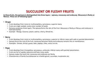 types of fruit and its classifications without diagrams | PPT