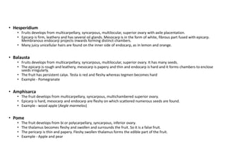 types of fruit and its classifications without diagrams | PPT