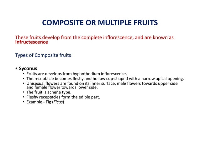 types of fruit and its classifications without diagrams | PPT