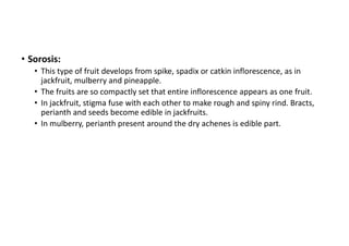 types of fruit and its classifications without diagrams | PDF