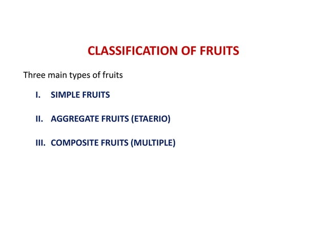 types of fruit and its classifications without diagrams | PPT