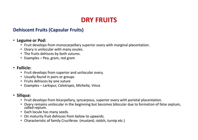 types of fruit and its classifications without diagrams | PPT