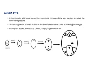 202004300509276c475952aa.pdf