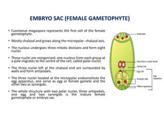 202004300509276c475952aa.pdf
