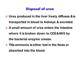 20200512062350.pdf | Endocrine and Metabolic Diseases | Diseases and ...