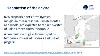 ICES advice measures on bycatch baltic harbour porpoise | PPTX