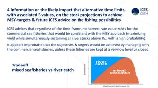 ICES evaluation of proposed draft management plan for Baltic salmon ...