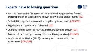 ICES evaluation of proposed draft management plan for Baltic salmon ...