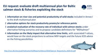 ICES evaluation of proposed draft management plan for Baltic salmon ...