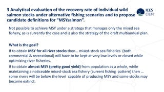 ICES evaluation of proposed draft management plan for Baltic salmon ...