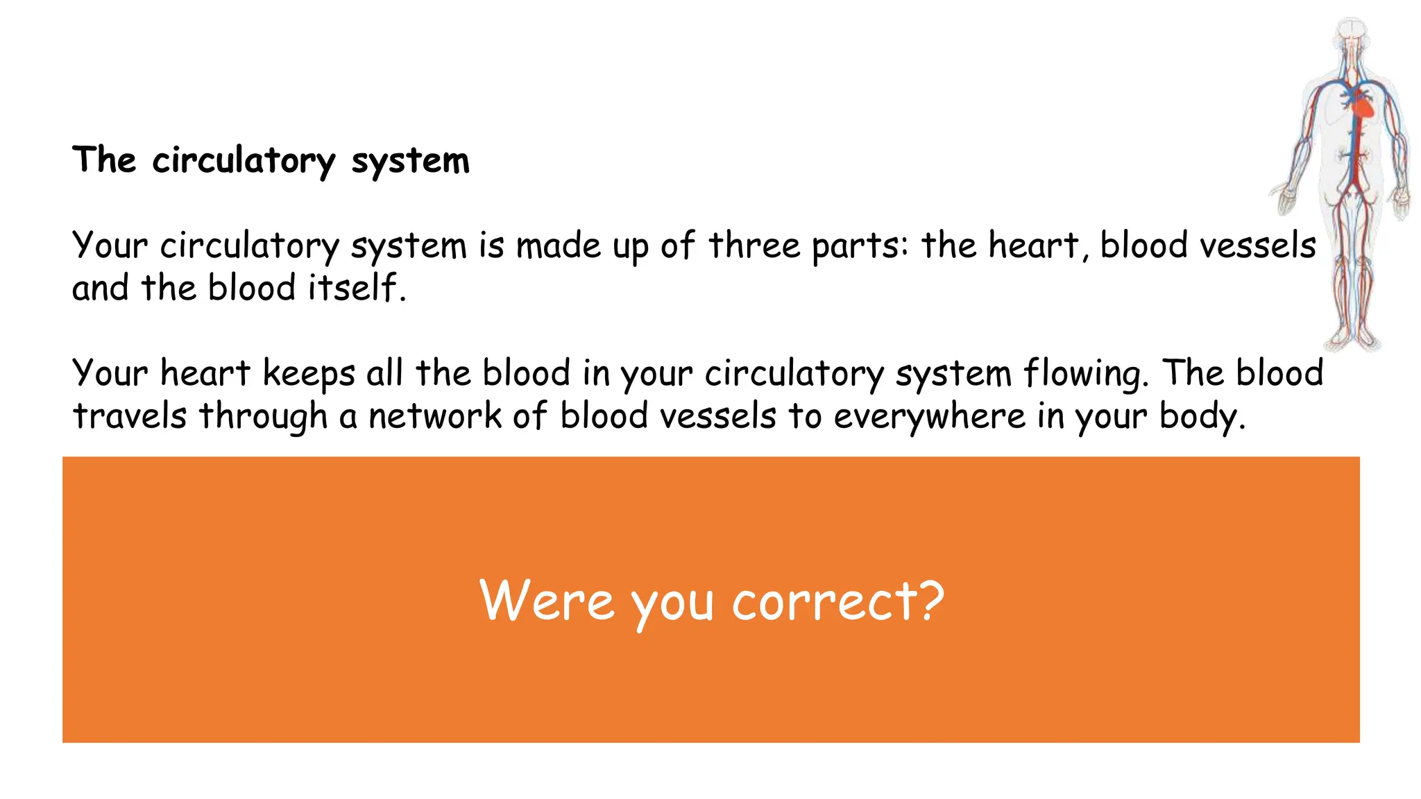 the circulatory system.ppt for high school students | PPT