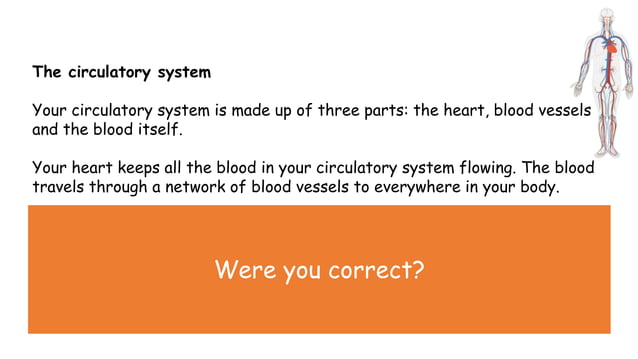 the circulatory system.ppt for high school students | PPT