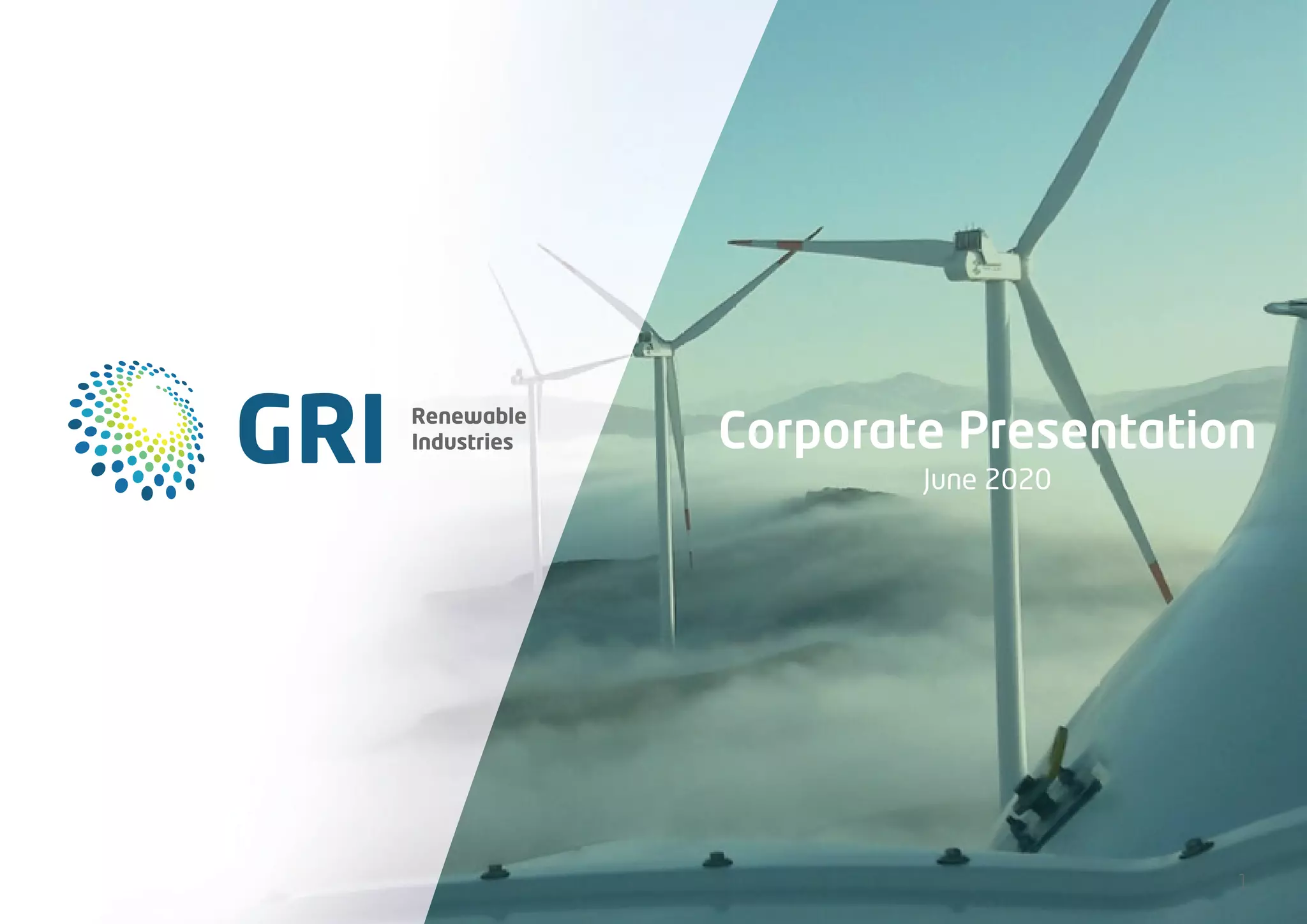 GRI Renewable Industries Corporate Presentation | PDF