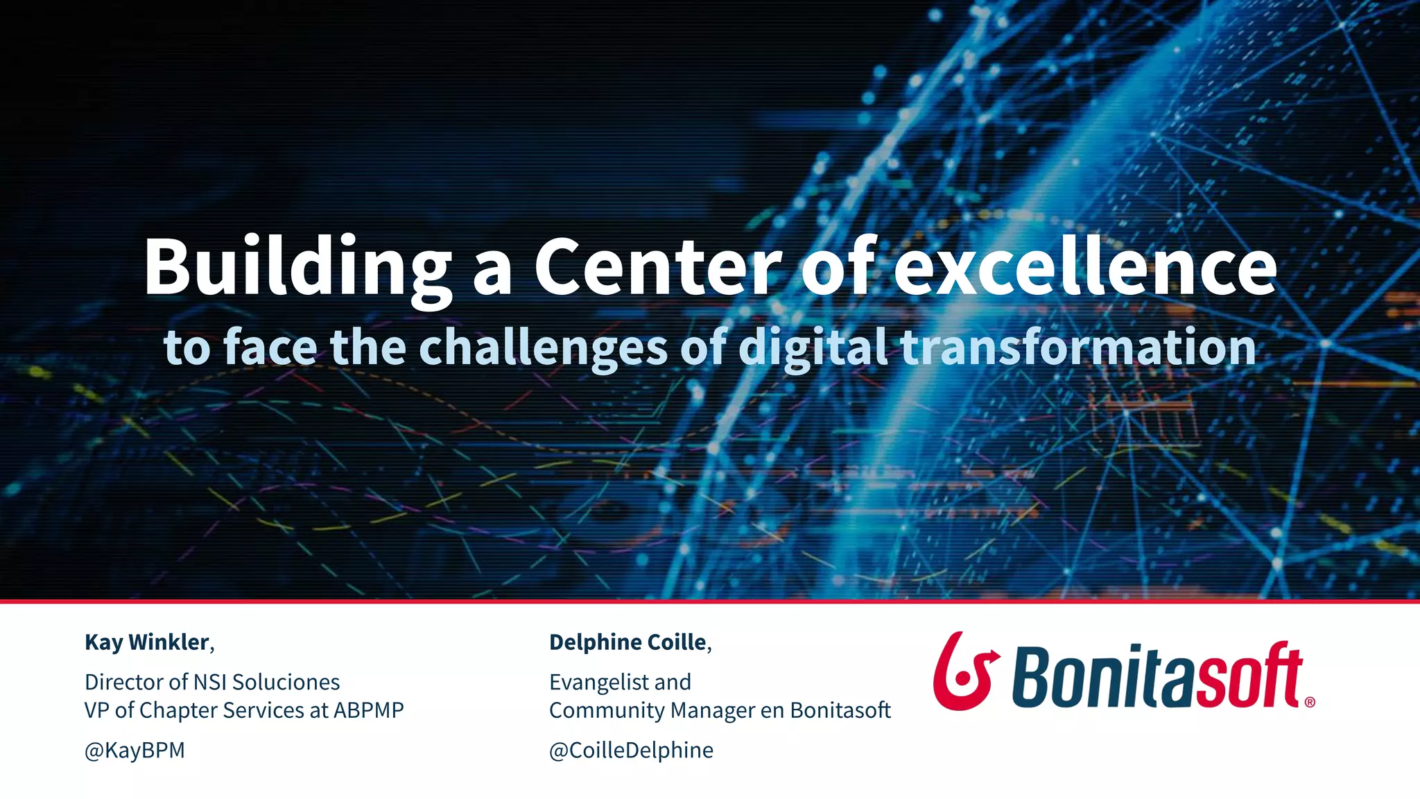 Build a Center of Excellence | PDF