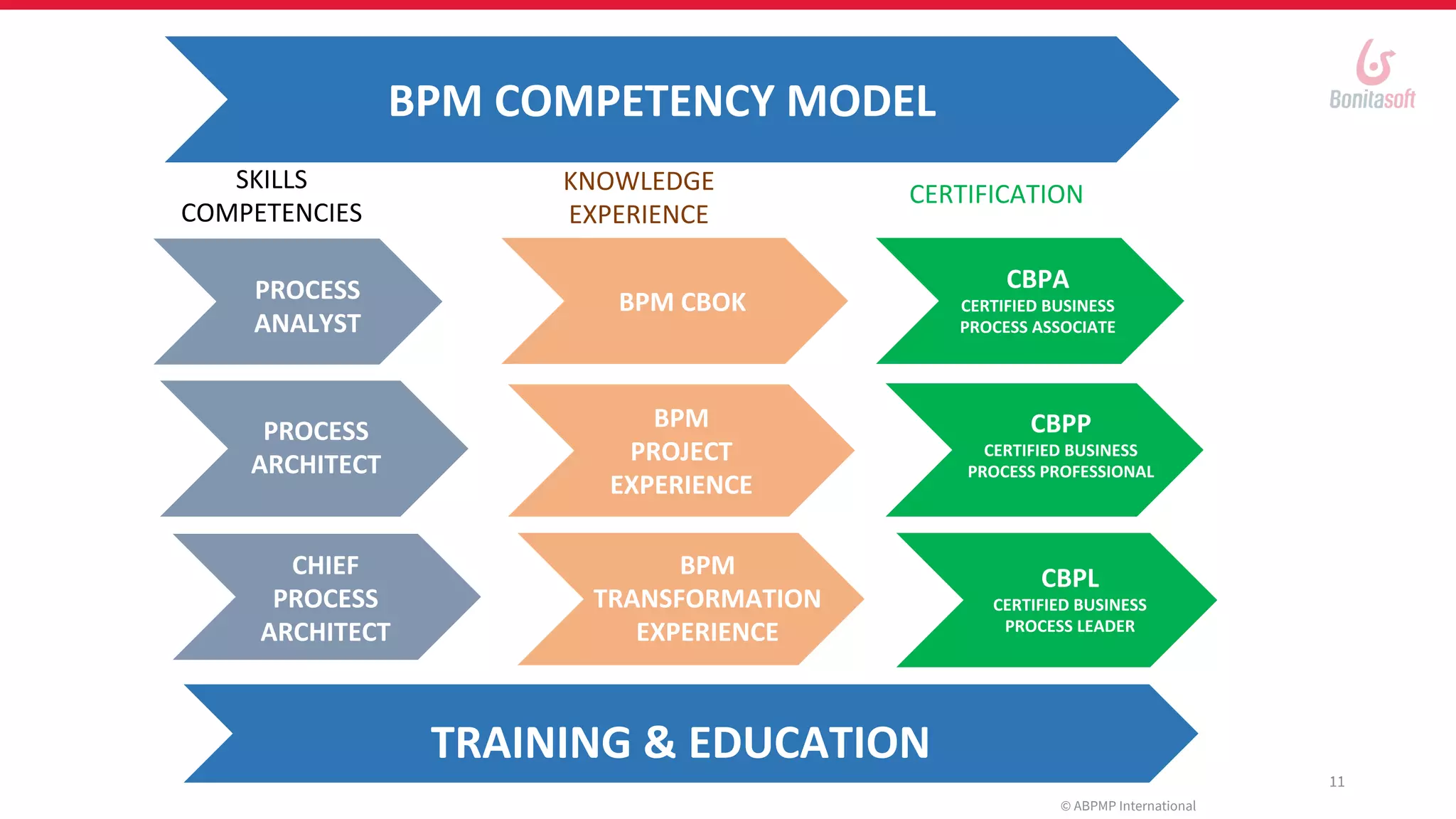 Build a Center of Excellence | PDF