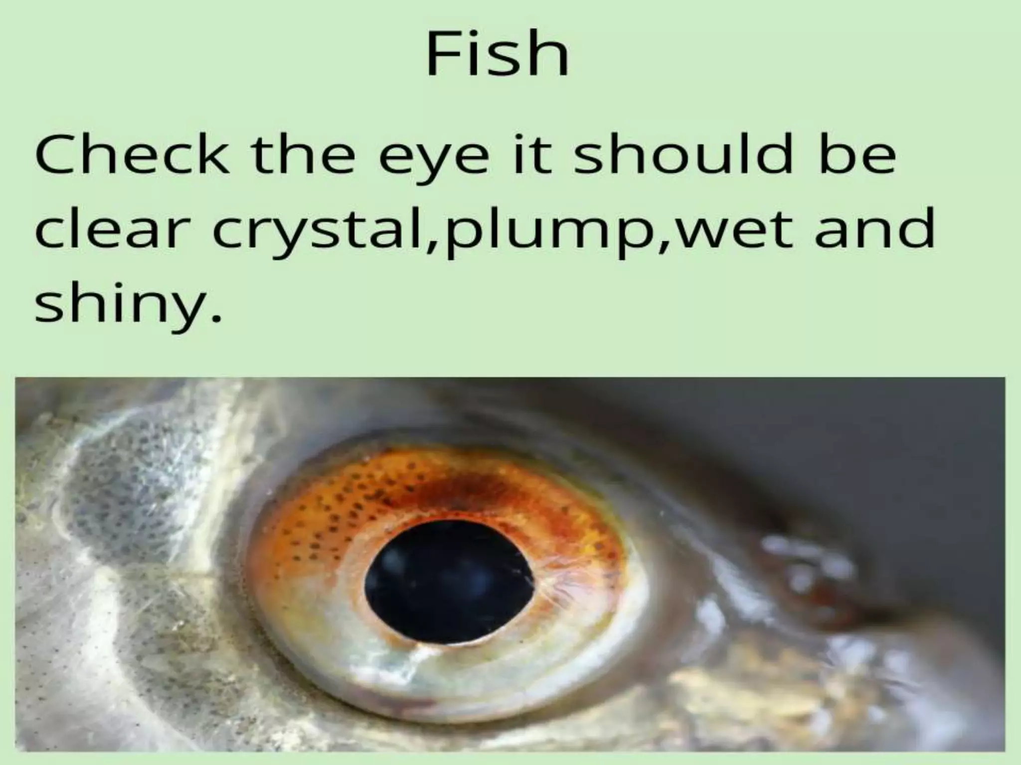 How to select fresh fish. | PPT