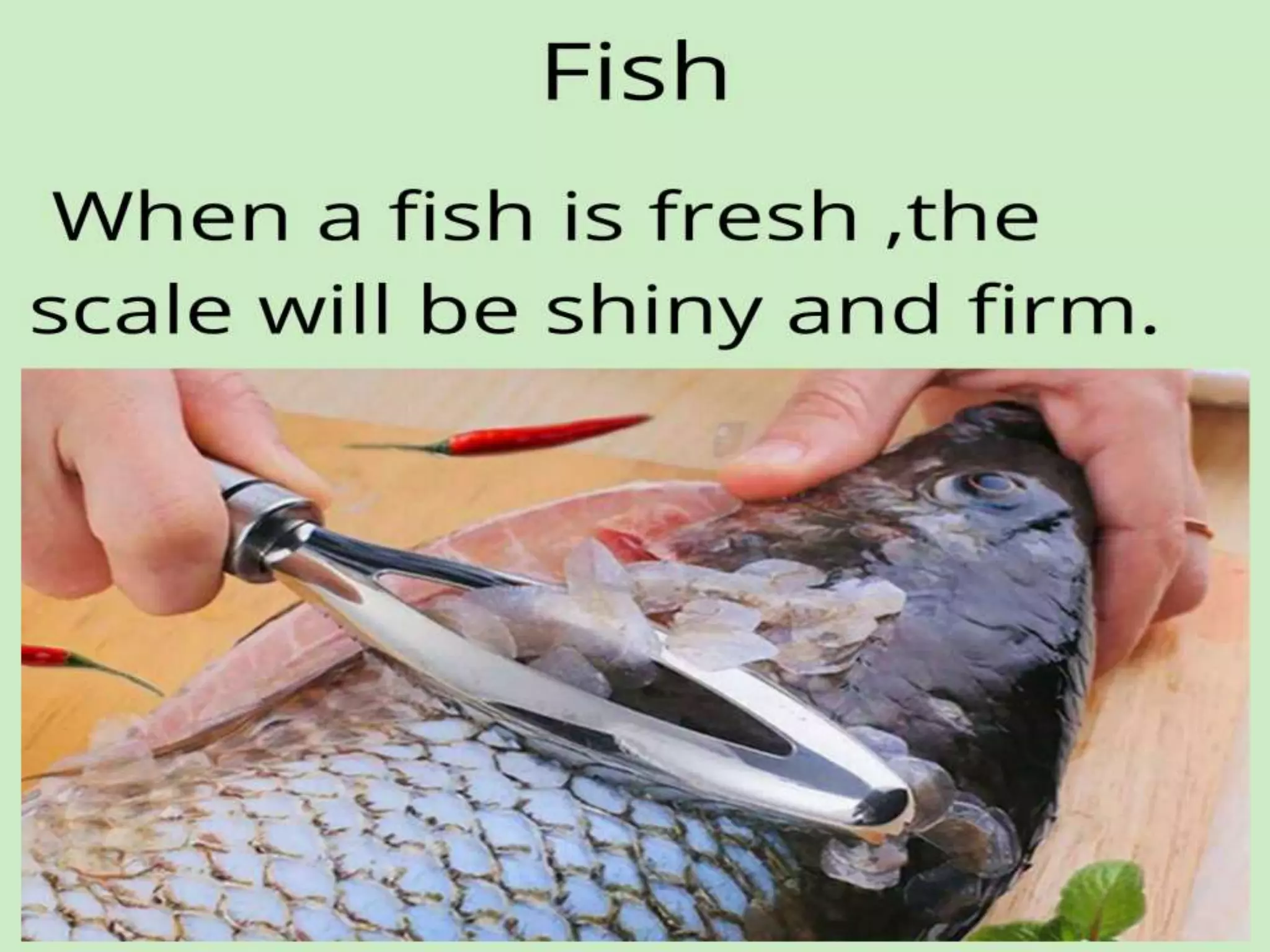 How to select fresh fish. | PPT