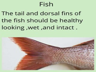 How to select fresh fish. | PPT