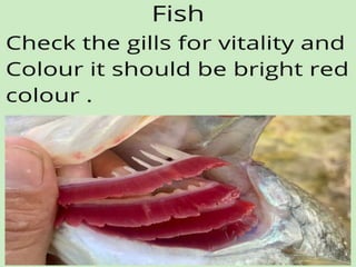 How to select fresh fish. | PPT
