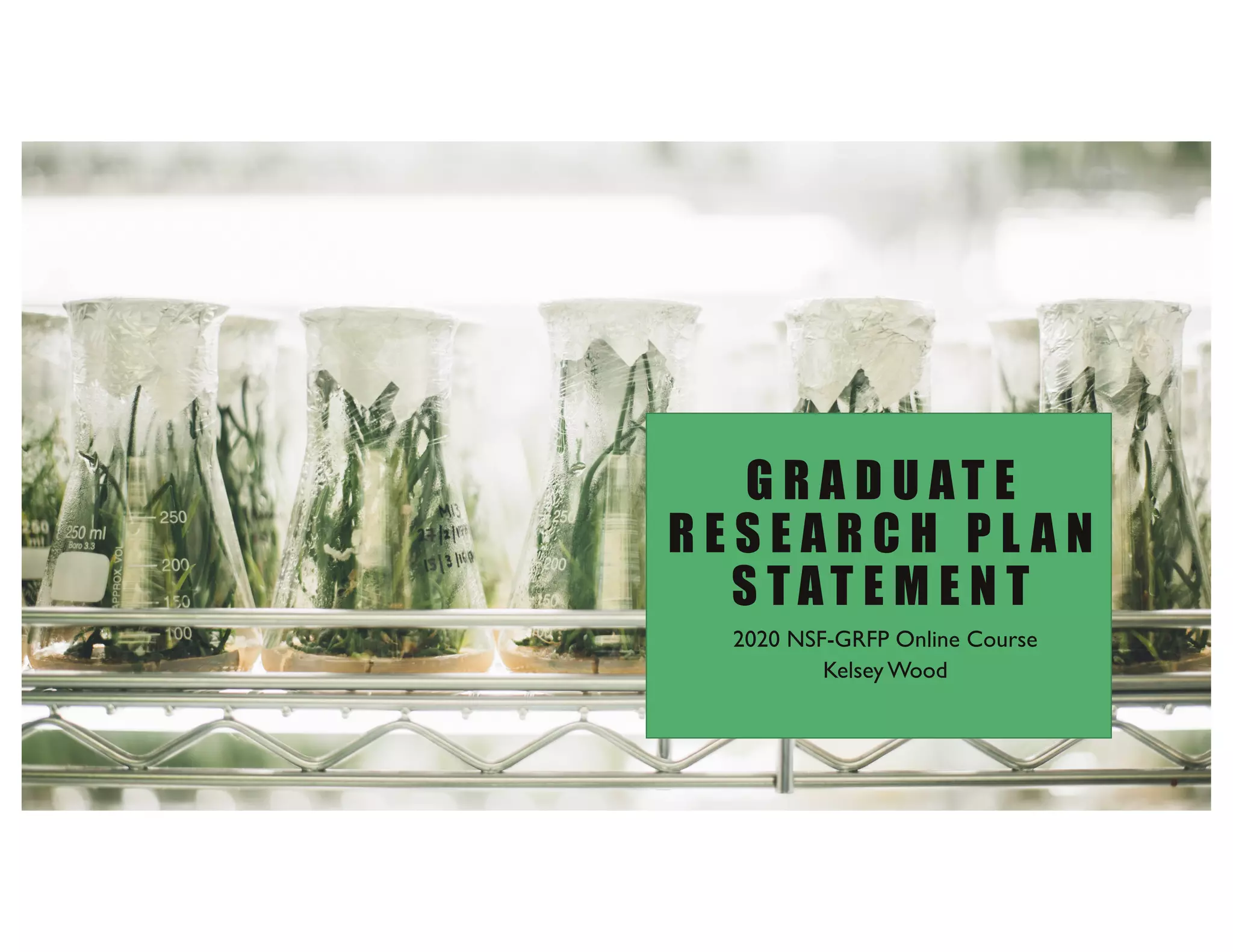 The NSF-GRFP: Proposed Research Statement | PDF