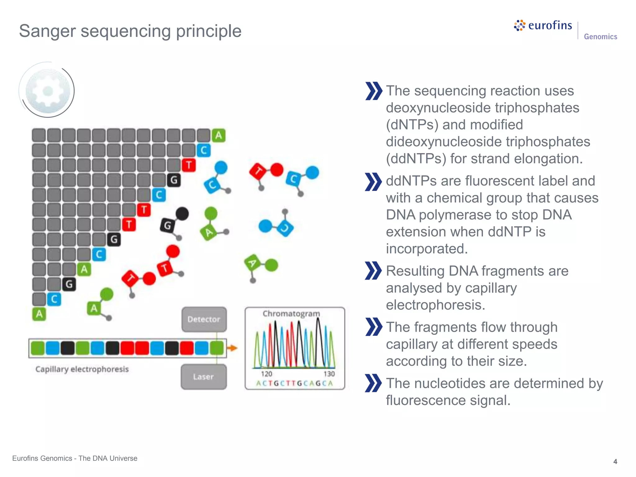 A Journey Through The History Of DNA Sequencing | PPTX