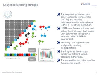 A Journey Through The History Of DNA Sequencing | PPTX