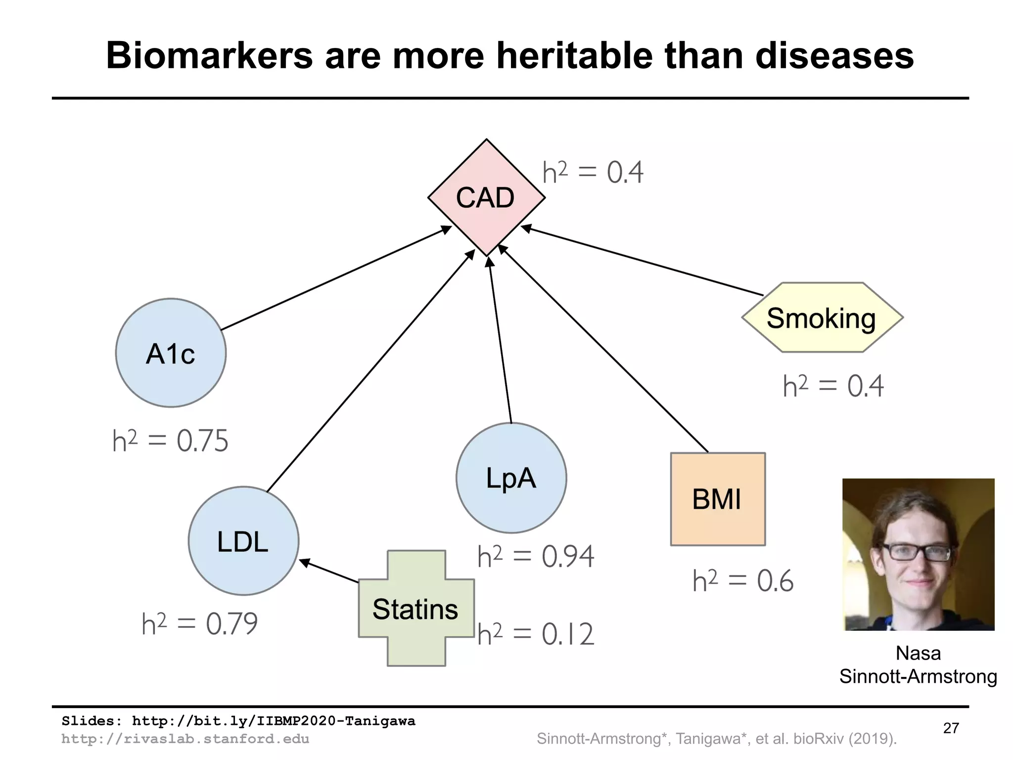 Multi-trait analysis informs genetic disease studies (IIBMP 2020) | PPT