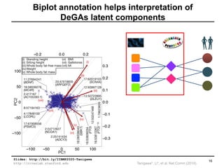 Multi-trait analysis informs genetic disease studies (IIBMP 2020) | PPT